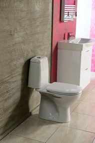 Aqualine Riga RG801 WC kombi mísa