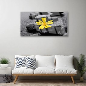 Obraz na skle Květ Kameny Rostlina Lázně 100x50 cm