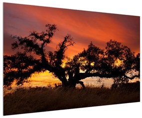 Romantický obraz stromu (120x80 cm)