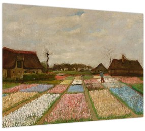 Obraz - Vincent van Gogh, Flower Beds in Holland, reprodukce (70x50 cm)