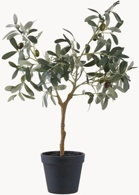 Umělá rostlina Olive