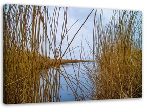 Obraz na plátně Příroda travnatého jezera - 90x60 cm