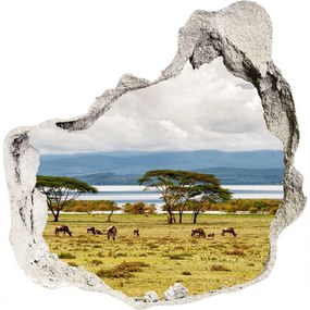 Wallmuralia Nálepka fototapeta 3D výhled Jezero Naivasha 75x75 cm