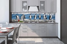 DIMEX | Fototapeta do kuchyně Tučňáci KI-260-112 | 260 x 60 cm | bílá, černá, šedá