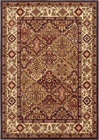 Kusový koberec Agnella Standard Bergenia Terakota Rozměr: 60x120 cm