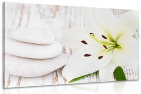 Obraz lilie a masážní kameny v bílém provedení Varianta: 120x80