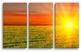 Sablio Obraz - 3-dílný Západ slunce nad loukou - 120x80 cm