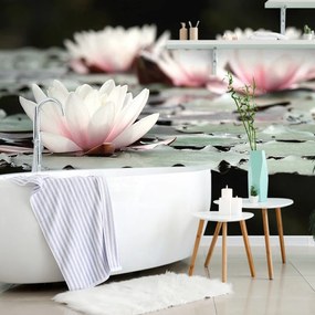 Samolepící fototapeta lotosový květ - 150x100 cm