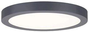 Paulmann 70988 - LED/22W Stropní svítidlo ABIA 230V antracit