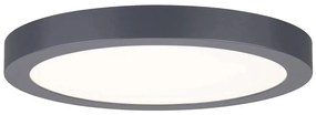 Paulmann 70988 - LED/22W Stropní svítidlo ABIA 230V antracit