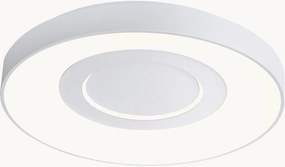 Stmívatelné stropní LED svítidlo Halyna