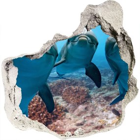 Wallmuralia Fototapeta díra na zeď Delfíni 75x75 cm