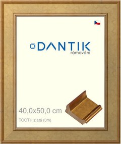 DANTIK rámeček 40x50 | TOOTH zlatá (Plexi Čiré)