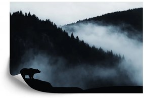 Fototapeta Bear In The Mountains Omyvatelný vlies 360x240