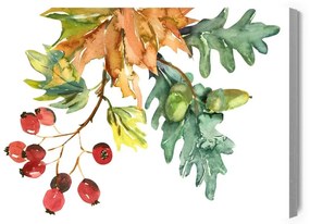 Obraz Podzimní Listí A Ovoce Malované Akvarelem Nedostatek Nedostatek Přírodní plátno 30x20