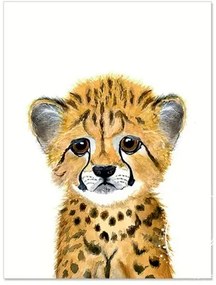 Obraz s motivem malovaná zvířecí mláďata Motiv: TX2078 gepard, Rozměry (cm): 60x80 cm