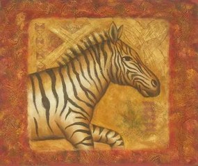 Zebra v běhu - 50 x 60 cm
