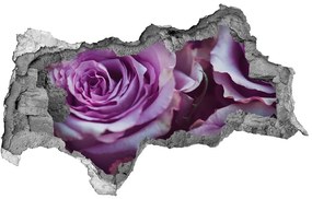 Wallmuralia Fototapeta nálepka na zeď Fialové růže 95x73 cm