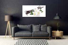 Plexisklo-obraz Tyčinka Vanilky do Kuchyně 100x50 cm