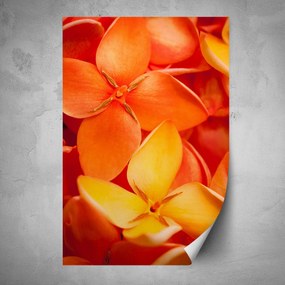 Plakát - Oranžové makro (80x120 cm) - PopyDesign