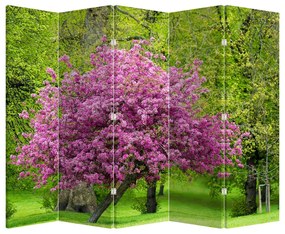 Paraván - Rozkvetlý strom na louce (210x170 cm)