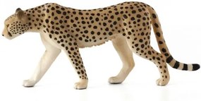 Mojo Gepard