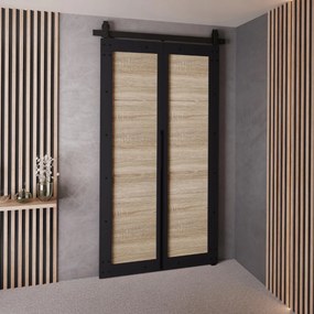 Skládací posuvné dveře QUDIO M2 černý + Sonoma 90