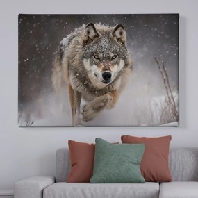 Obraz na plátně - Vlk běžící v divoké zasněžené krajině FeelHappy.cz Velikost obrazu: 40 x 30 cm