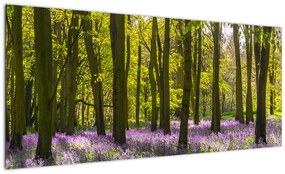 Obraz lesa (100x40cm)