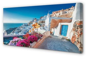 Obrazy na plátně Budovy Řecko mořské květiny 100x50 cm