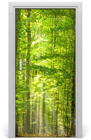 Fototapeta na dveře bukový les 85x205 cm
