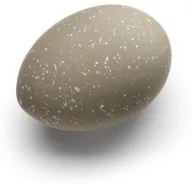 Dekorativní vajíčka Cooee Sand - set 2 ks COOEE Design