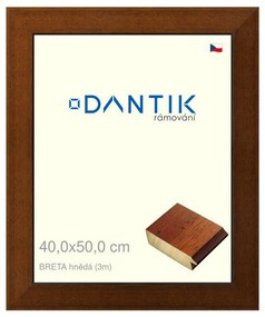 DANTIK rámeček 40x50 | BRETA hnědá (Sklo Čiré)