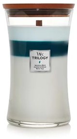 WoodWick Trilogy Icy Woodland Svíčka váza velká, 609,5 g