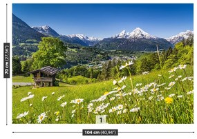 Fototapeta Bavorsko hory 104x70