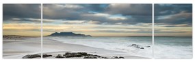 Obraz - Robben Island (170x50 cm)