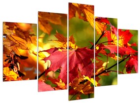 Obraz podzimních listů (150x105 cm)