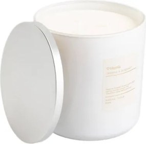 Svíčka AURA Jasmín&Bergamot 740190