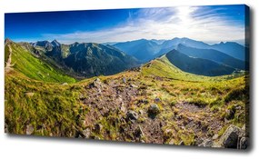 Wallmuralia Foto obraz na plátně Horská panorama 100x50