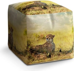 Sablio Taburet Cube Gepard - 50x50x50 cm