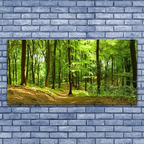 akrylový obraz Les Příroda 120x60 cm