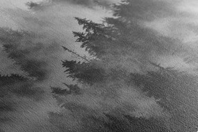 Obraz hory v mlze v černobílém provedení Varianta: 120x80