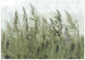 Fototapeta - Tall Grasses - Green