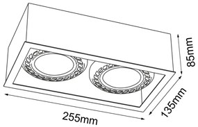 Brosline 1274 - Bodové svítidlo CAGE 2xGU10/18W/230V bílá