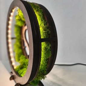 Dřevěná LED lampa s mechem - Srdce a Kříž I SENTOP LED0582