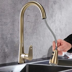 Rea Mild, stojánková kuchyňská baterie, zlatá matná, REA-B4803