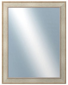DANTIK - Zarámované zrcadlo - rozměr s rámem cca 70x90 cm z lišty TOOTH stříbrná (2779)