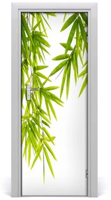 Fototapeta samolepící listy bambusu 75x205 cm