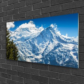 Obraz na skle Hora Strom Krajina 100x50 cm