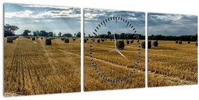Obraz sklizeného obilného pole (s hodinami) (90x30 cm)